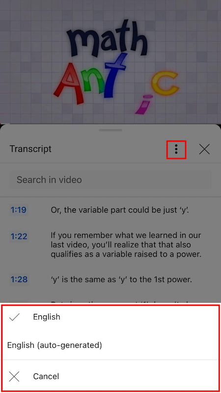 How to Get the Transcript of a YouTube Video [2024 Updated]